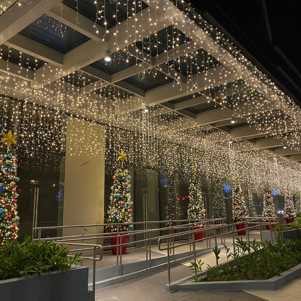 Collections – Fuji Bright